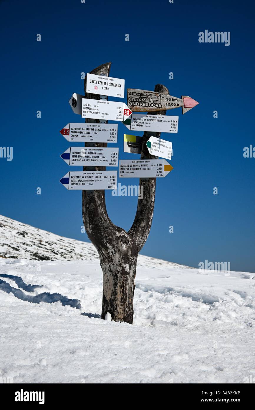Wooden signpost showing different destinations and distances in a snowy ...