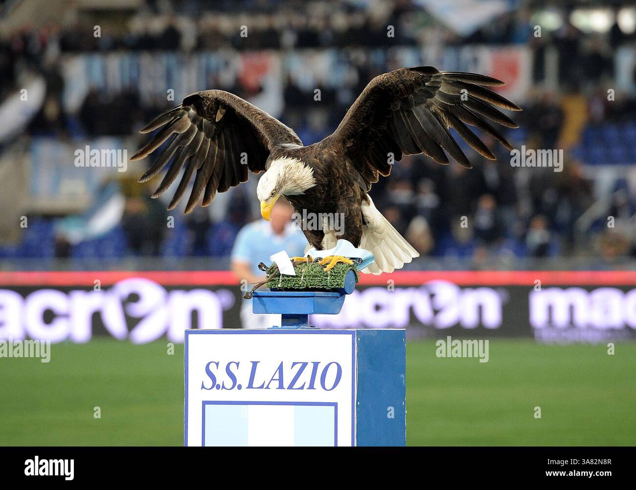 Ss napoli emblem hi-res stock photography and images - Alamy