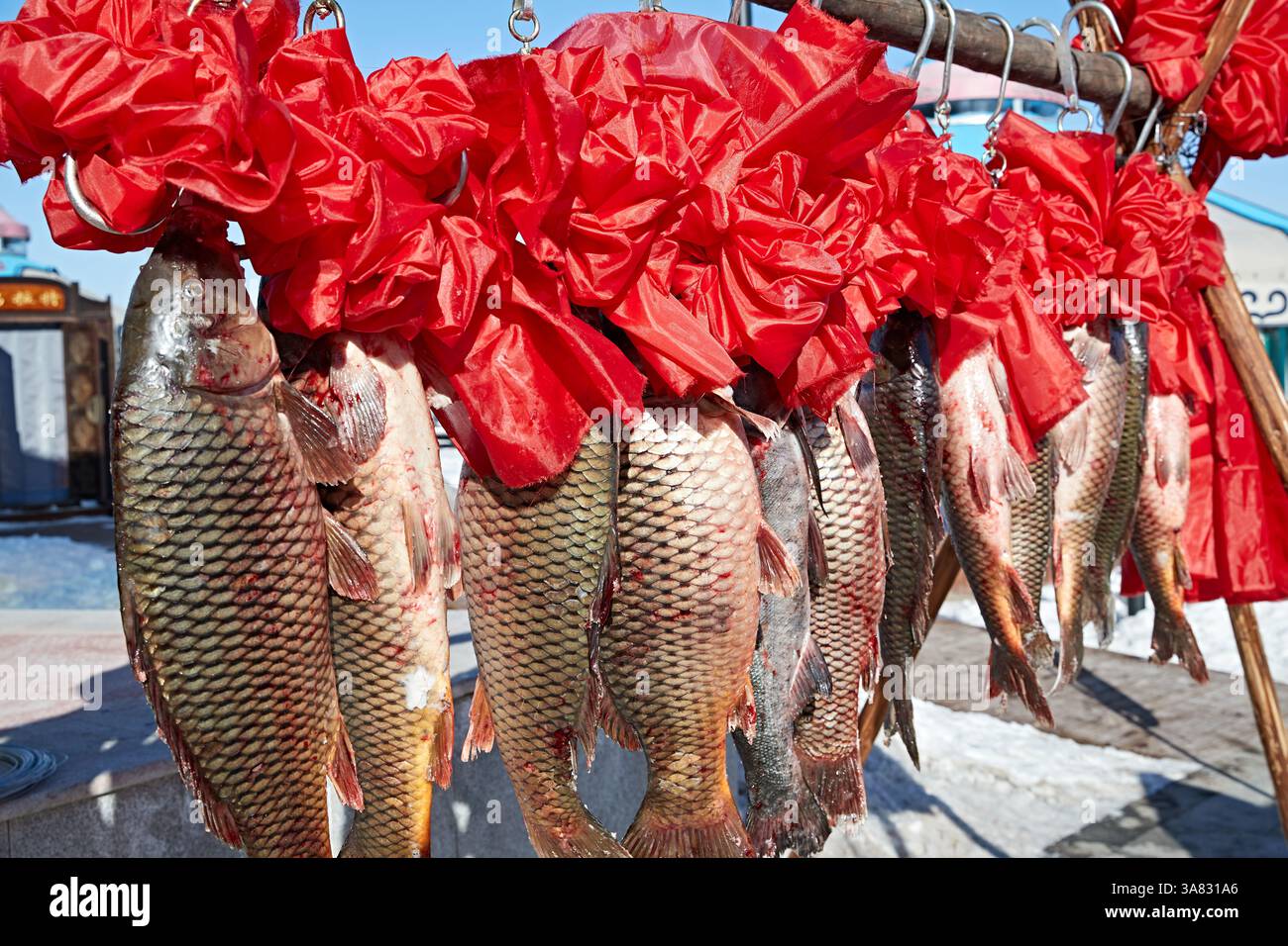 Fresh Fish Displayed with Red Cloth Wrapping Stock Photo - Alamy
