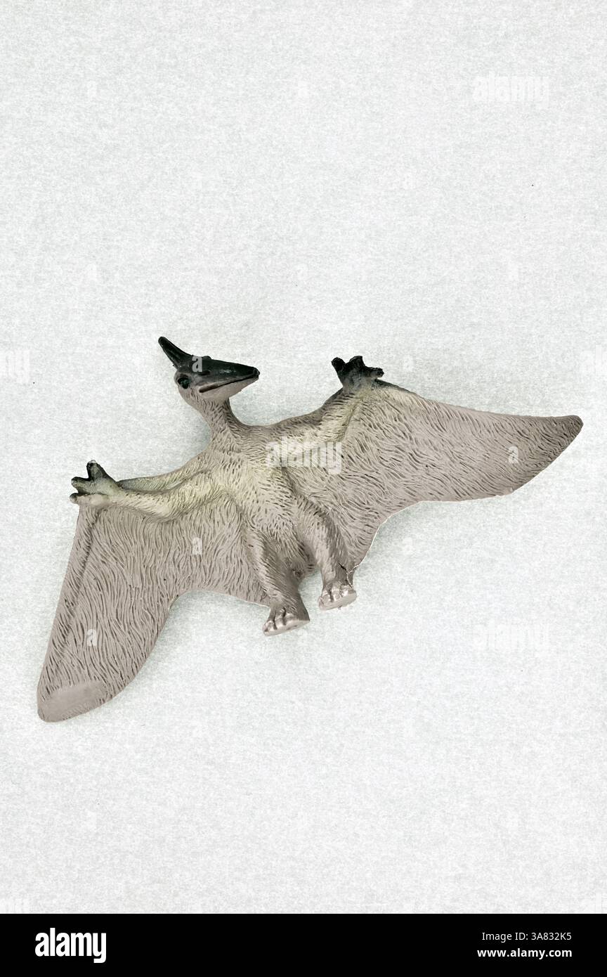 Plastic model of grey dinosaur Pterodactyl holding its wings open Stock ...