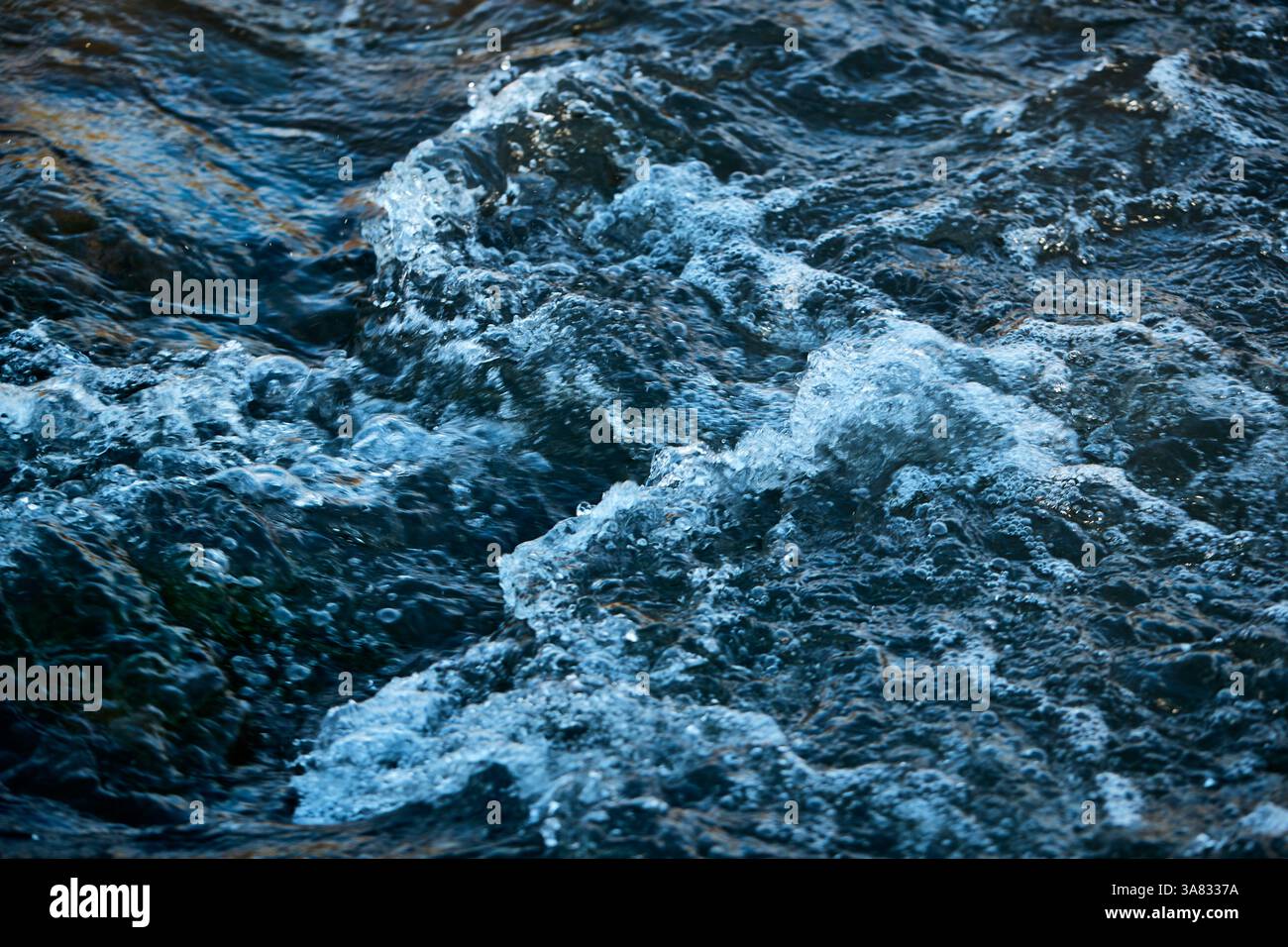 Water adaptability hi-res stock photography and images - Alamy