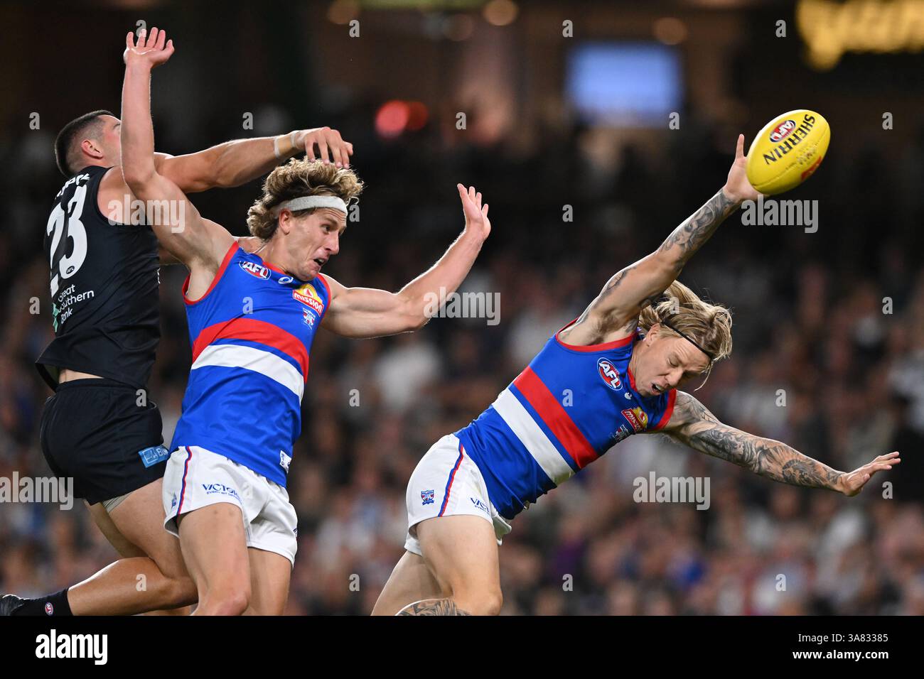 Aaron Naughton of Western Bulldogs (centre) and James Harmes of Western ...