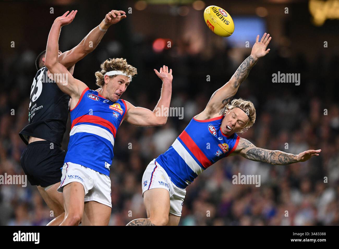 Aaron Naughton of Western Bulldogs (centre) and James Harmes of Western ...