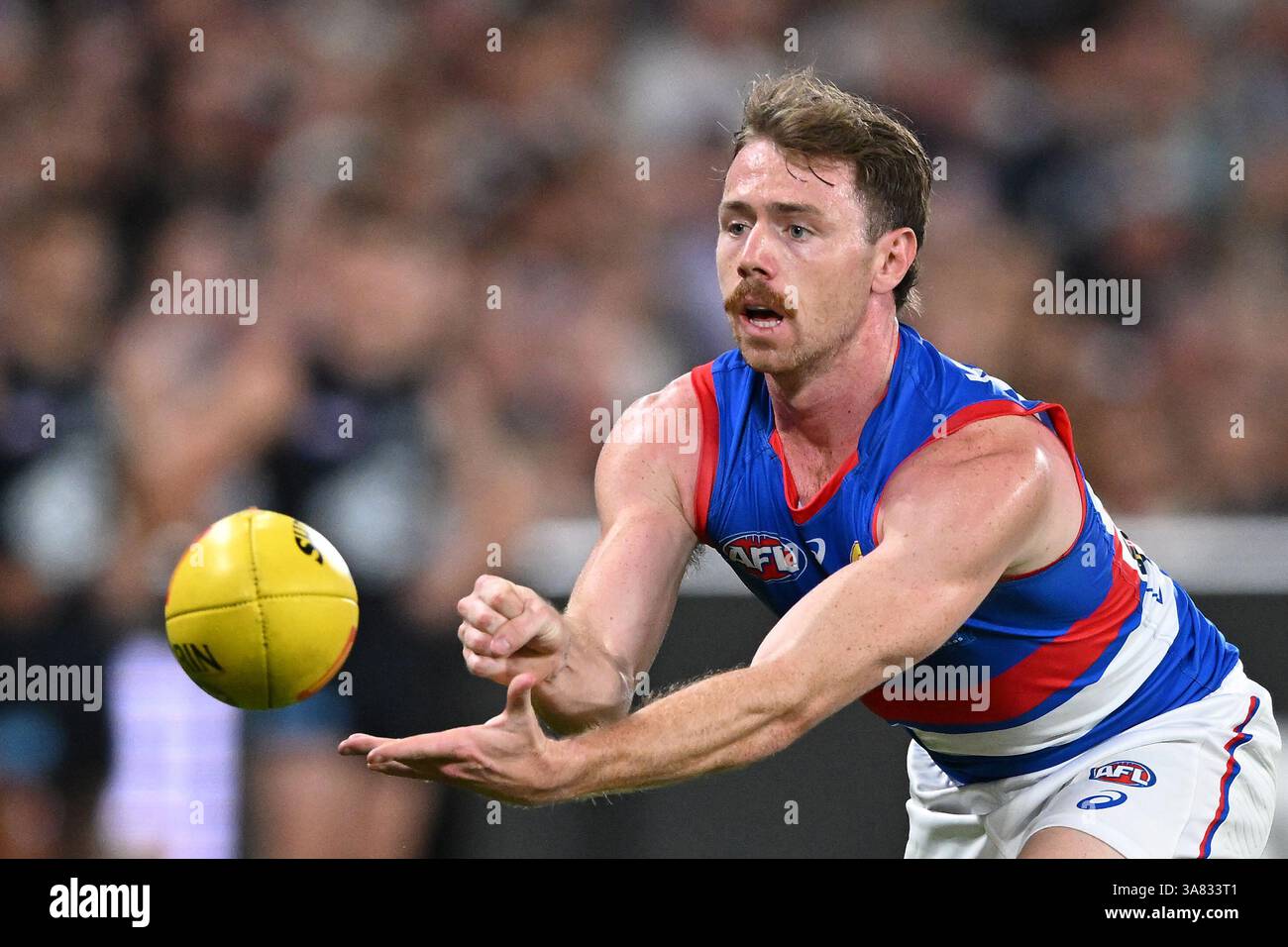 Lachlan Bramble of Western Bulldogs handballs the footy during the AFL ...