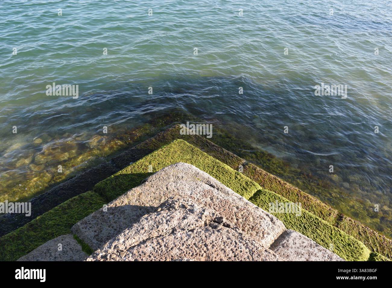 Submerged stone steps descend into clear coastal water, with algae ...