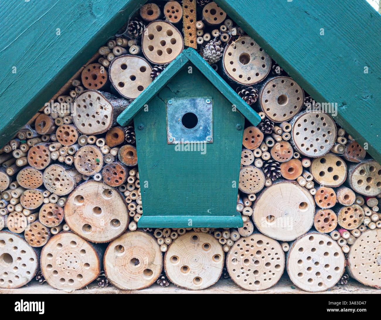 Bug hotel featuring a teal-painted wooden bird box at its centre ...
