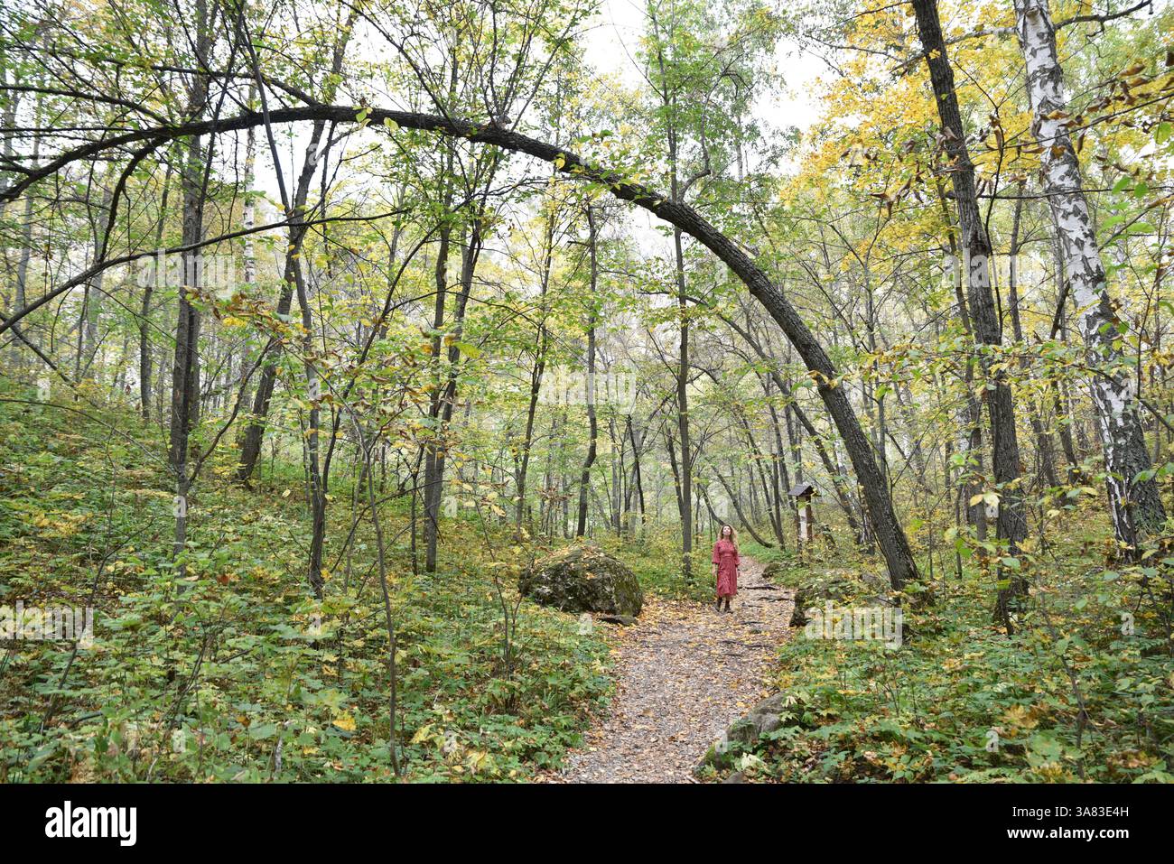 Woman walking along a forest path hi-res stock photography and images ...