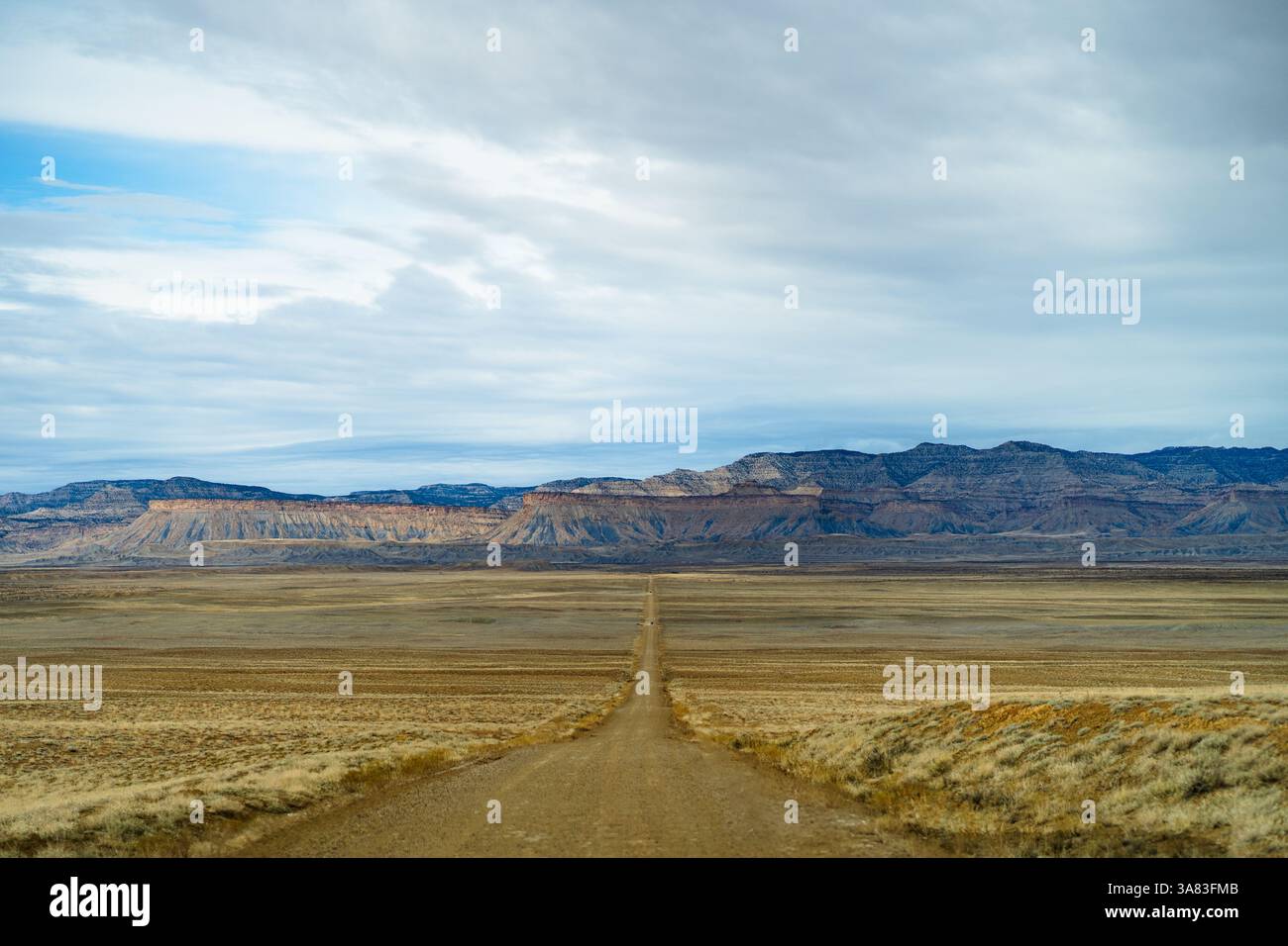 Long desert highway stretching hi-res stock photography and images - Alamy