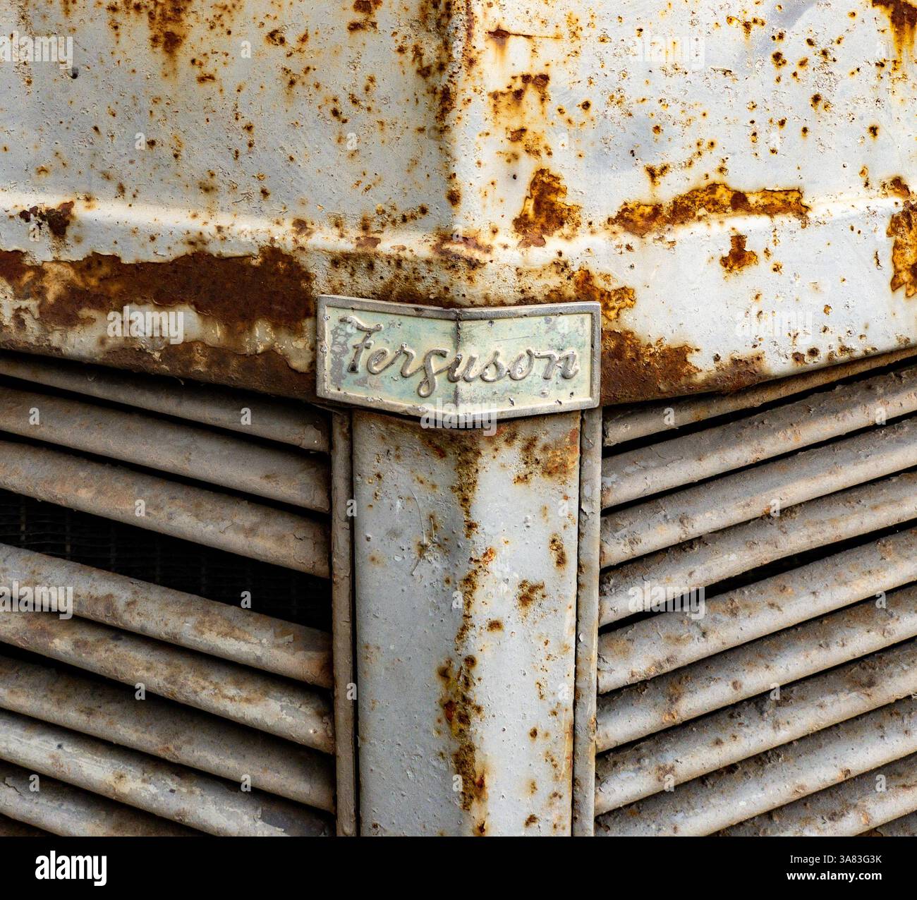The vintage Ferguson tractor featured a rusty front grille with ...
