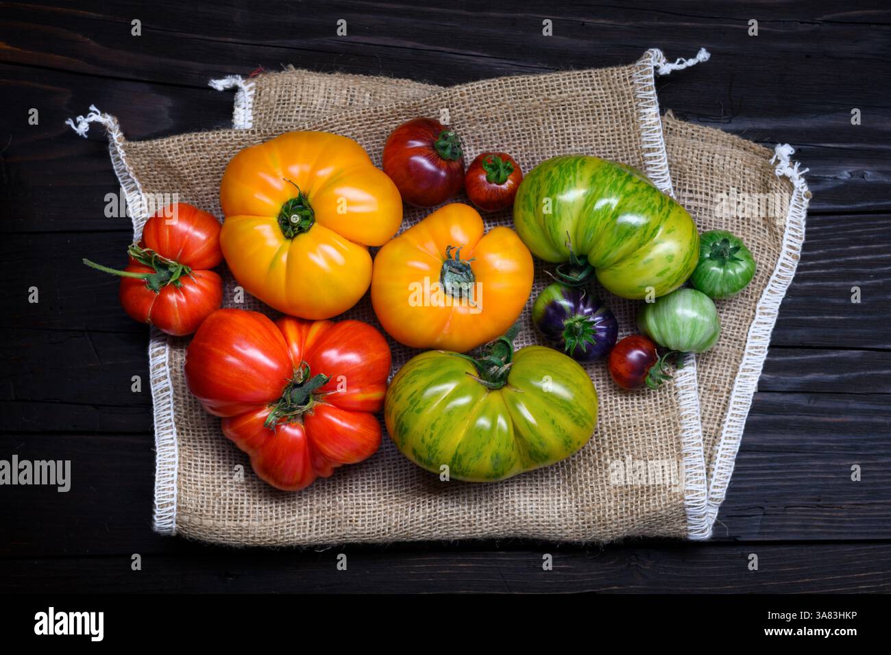 Several multi-colored tomatoes from own garden on wooden rustic table ...