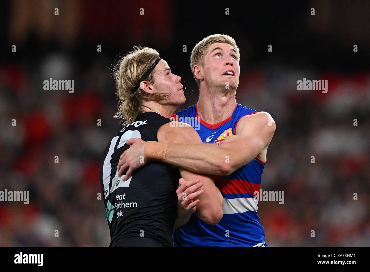 Tom de Koning of Carlton (left) and Tim English of Western Bulldogs ...