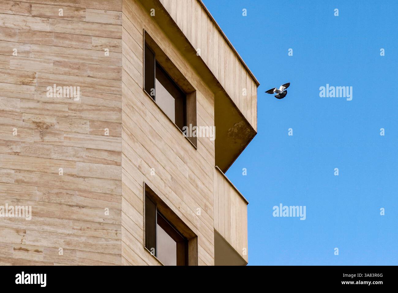 Freedom and release , birds Stock Photo - Alamy