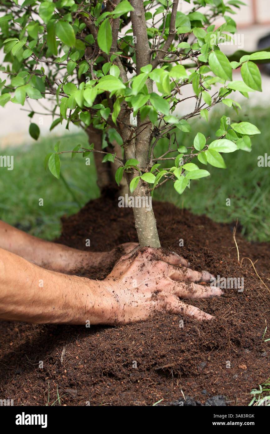 Día de la tierra hi-res stock photography and images - Alamy