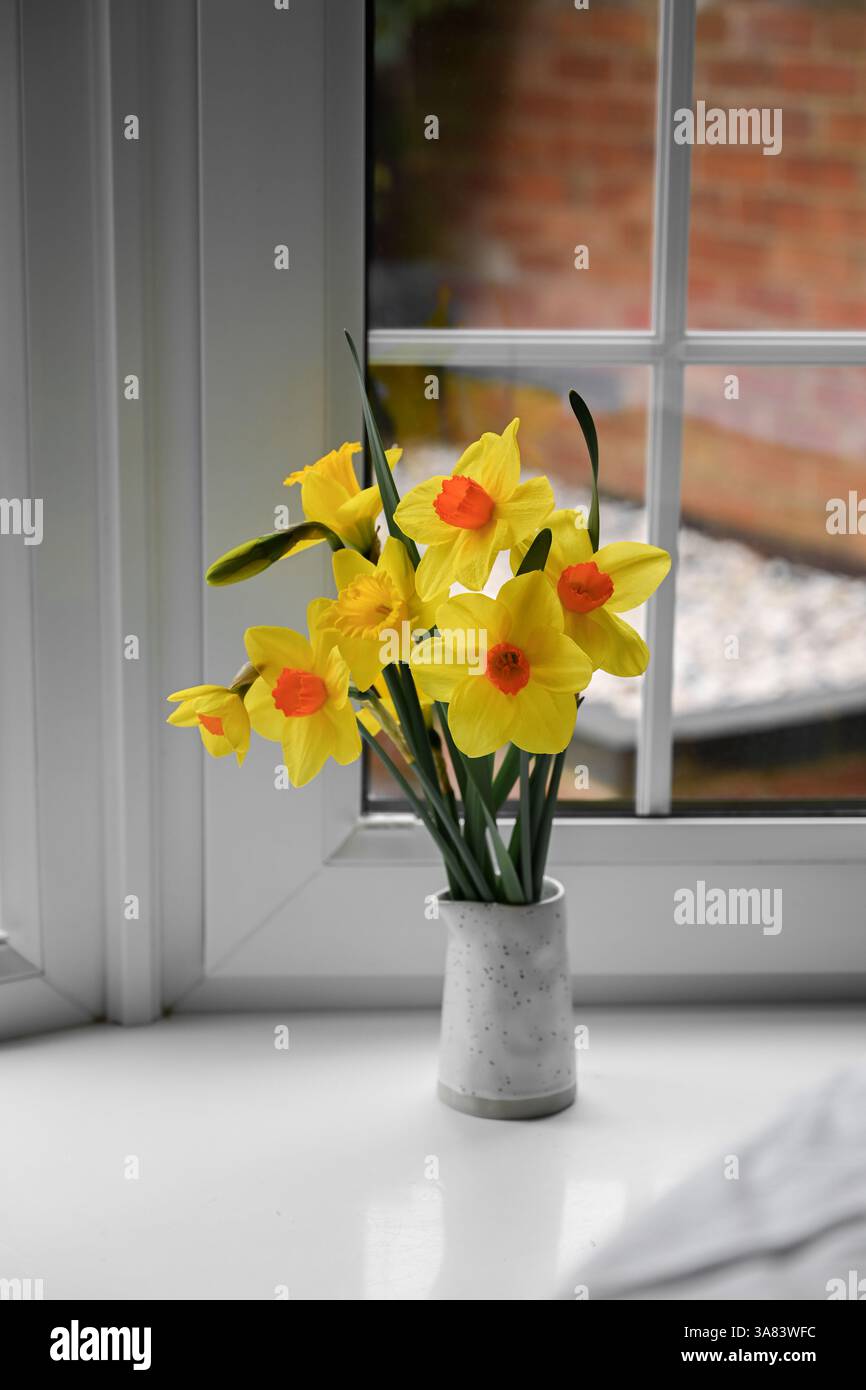 Yellow daffodils on the window. Spring flowers background Stock Photo ...