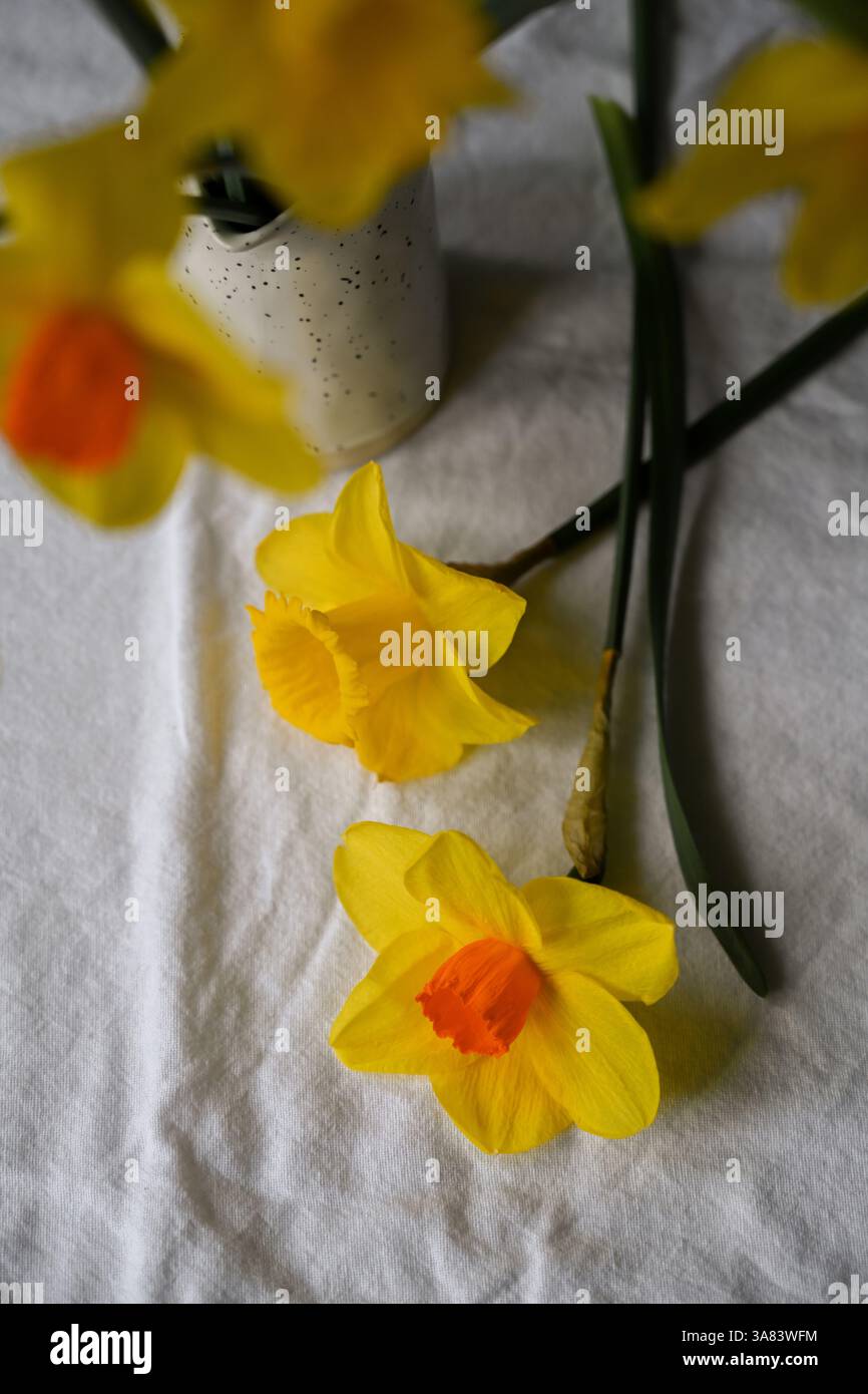 Yellow daffodils spring flowers background Stock Photo - Alamy