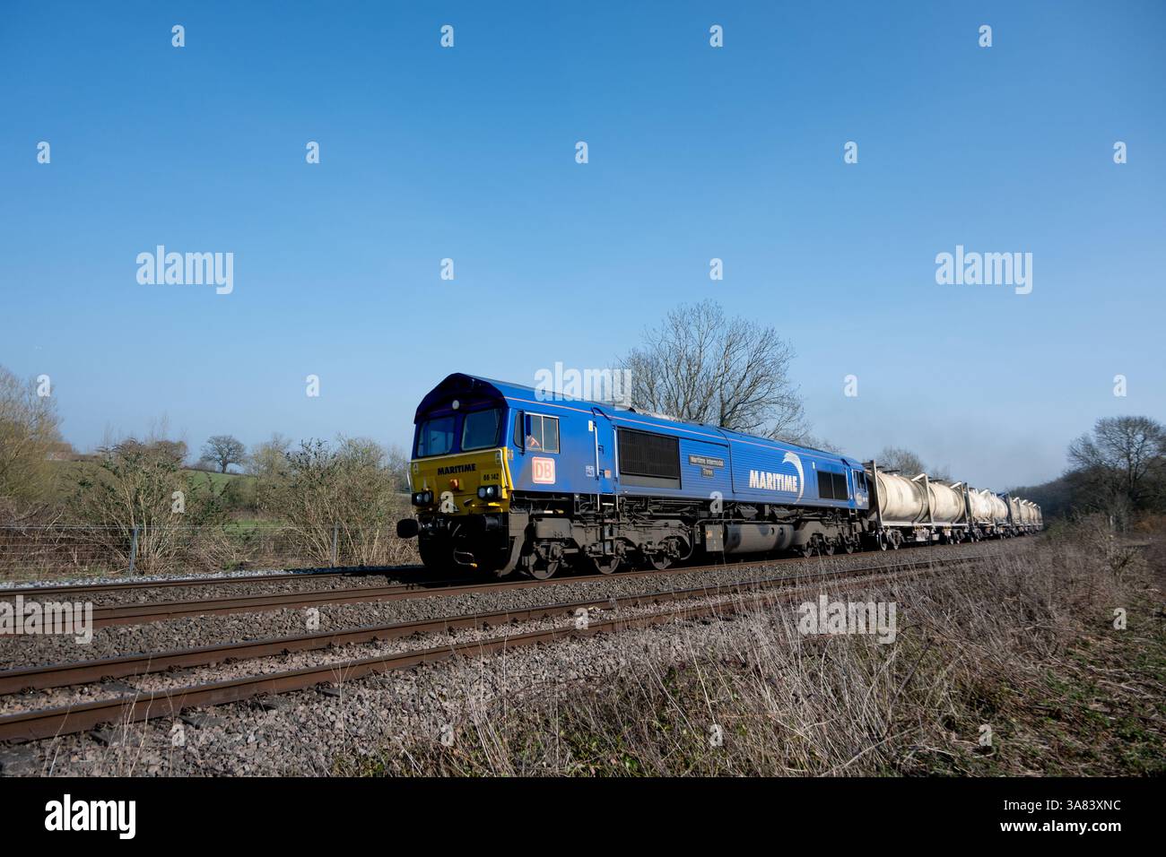 DB class 66 diesel locomotive No. 66142 "Maritime Intermodal Three ...