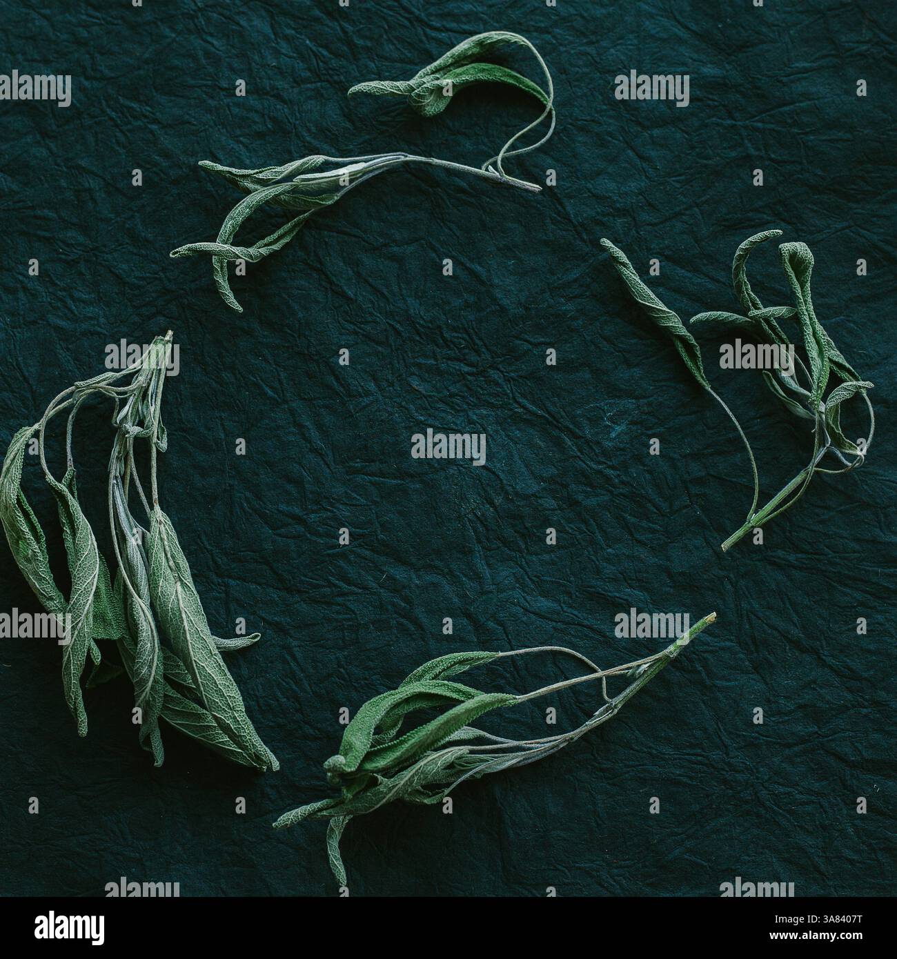 Dried sprigs hi-res stock photography and images - Alamy