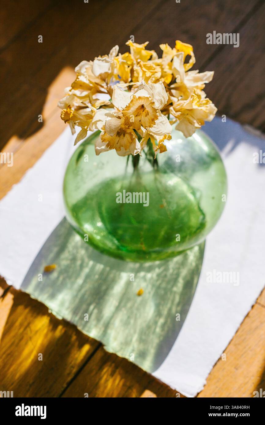 Dried Daffodil Flowers in a Green Vase on a White Background Stock ...
