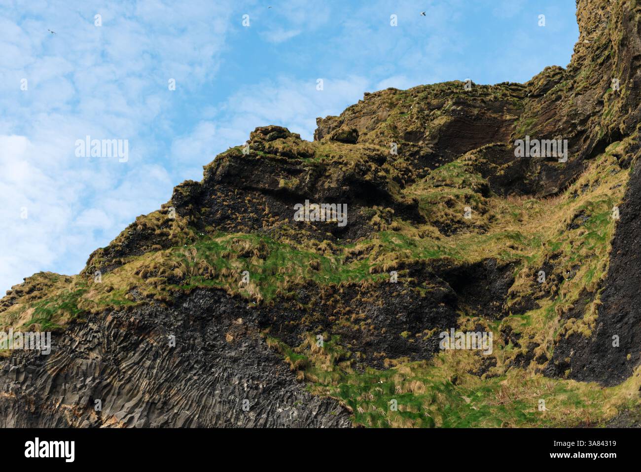 Rugged basalt cliffs where sea birds nest in Southern Iceland Stock ...