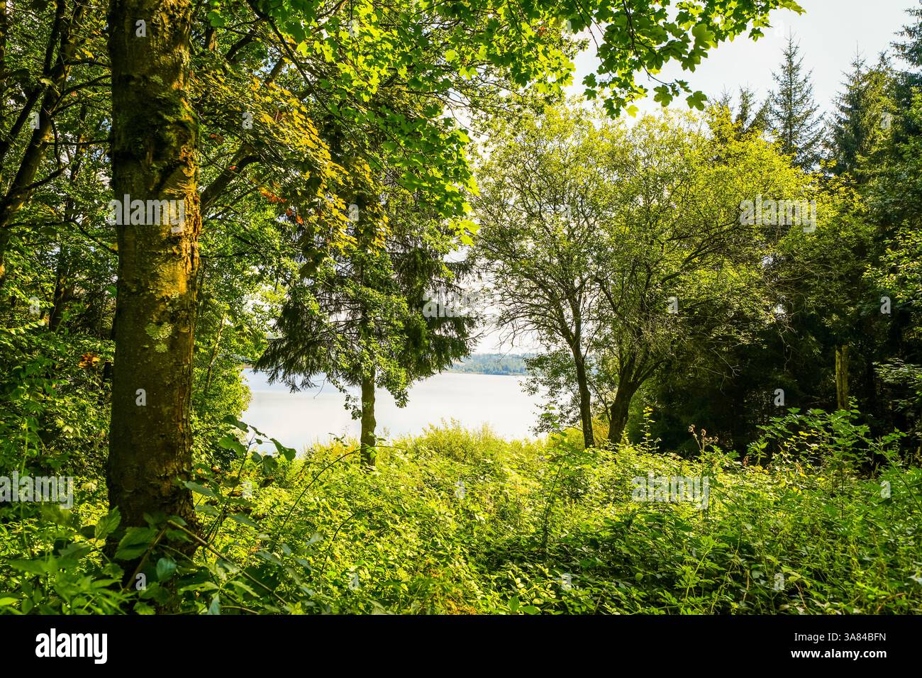 View of the Aabach dam and the surrounding landscape. Nature at the ...