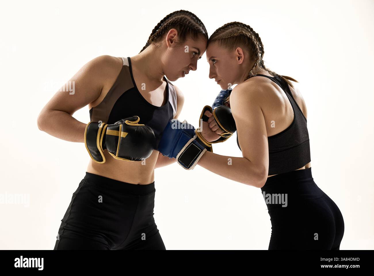 Two focused female fighters in boxing gloves facing off in fighting ...