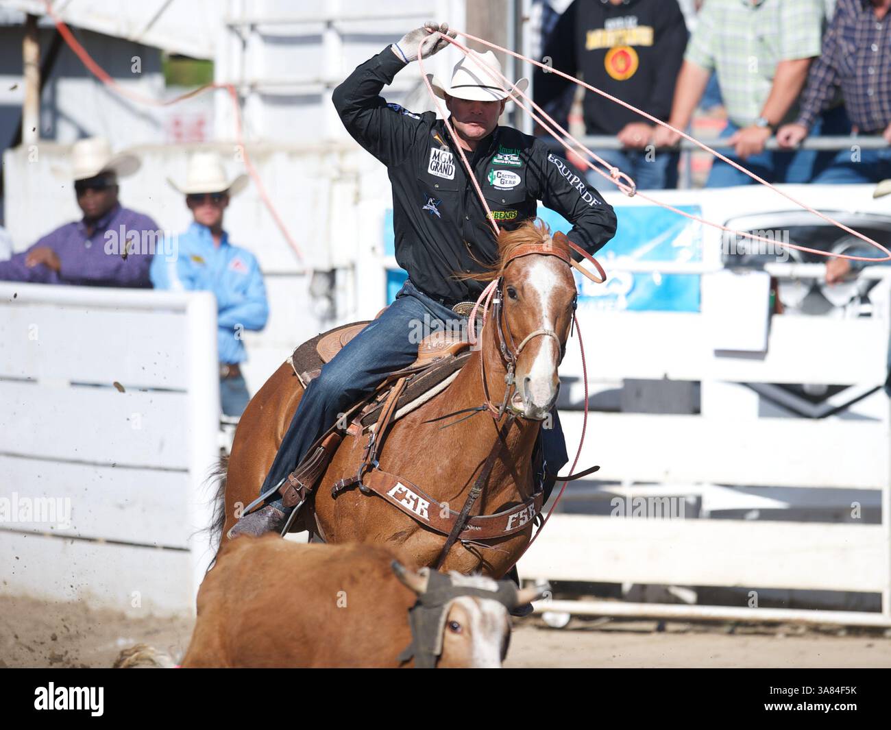 Billings mt hi-res stock photography and images - Alamy