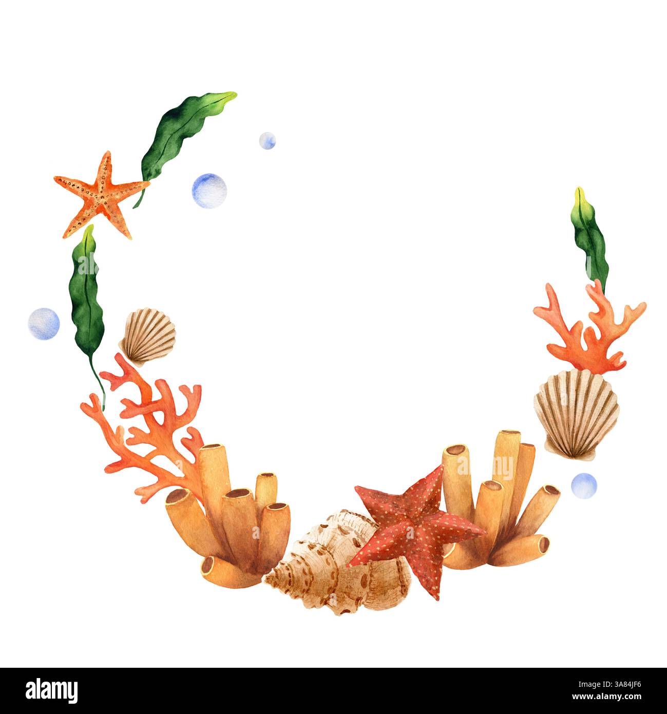 Starfish, corals, seaweed, shells and bubbles. Hand drawn watercolor ...