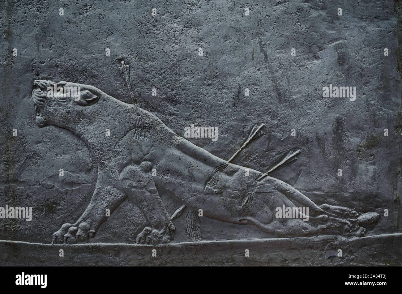 Ancient Neo Assyrian relief panel depicting a lion dying from a King ...