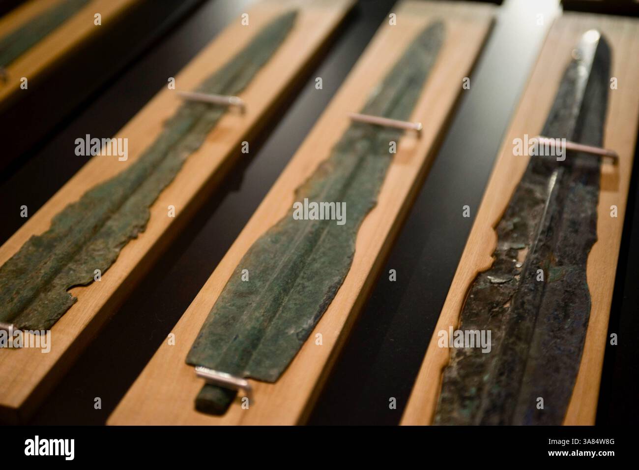 Photo shows some of the 358 bronze swords from the Kojindani site on ...