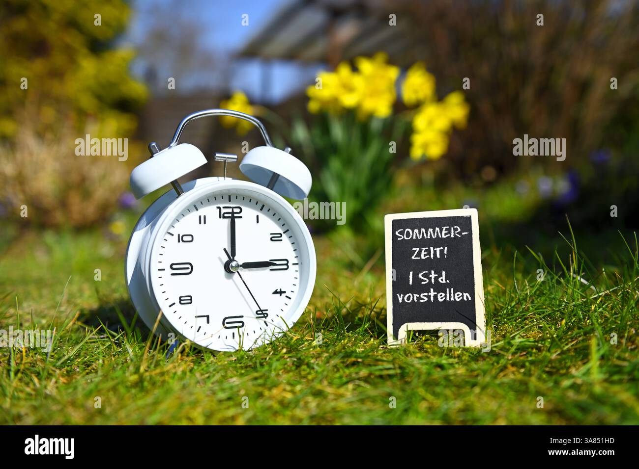 FOTOMONTAGE, Weißer Wecker vor Frühlingsblumen mit Tafel und Aufschrift ...