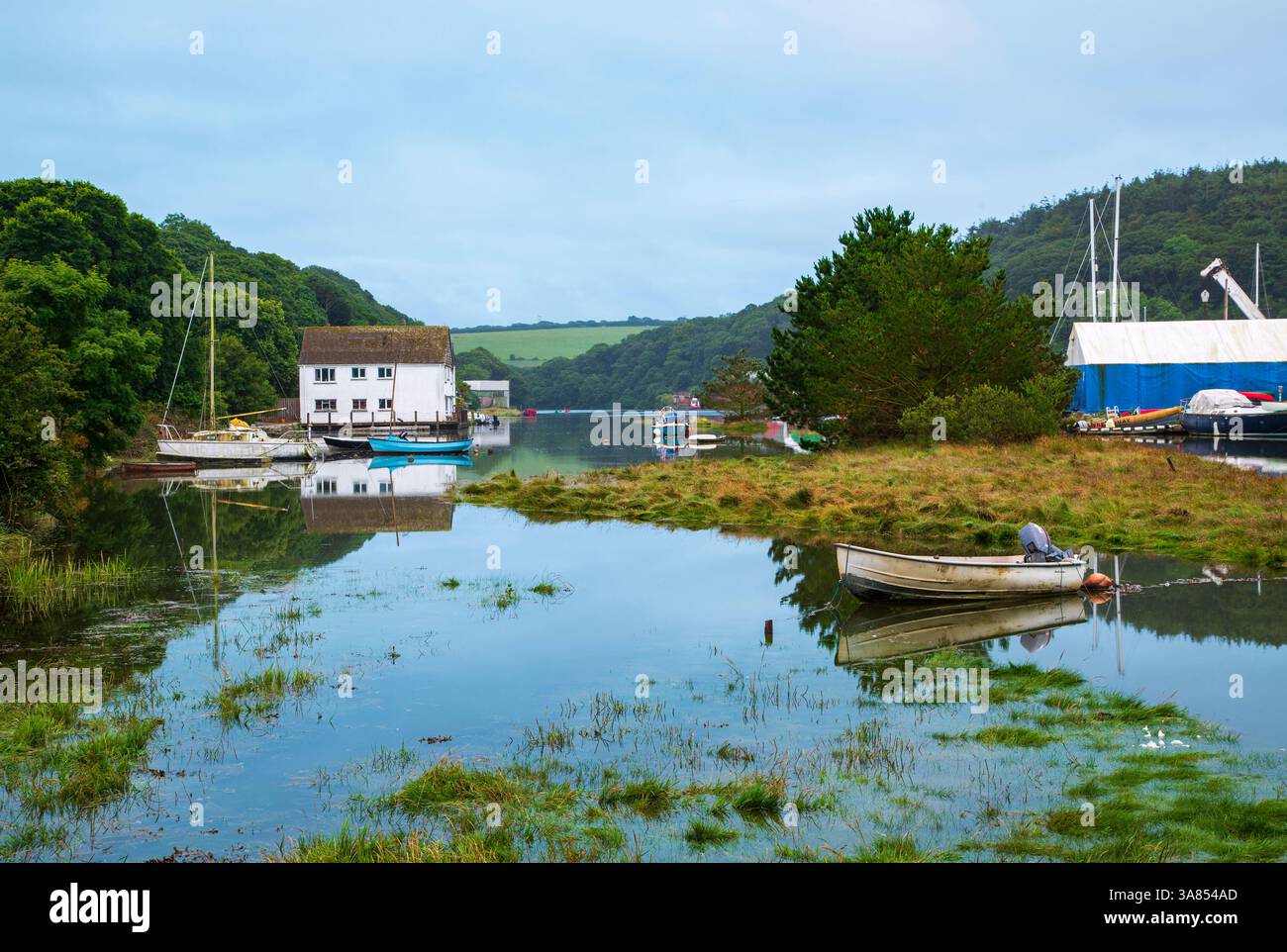 Seal sanctuary gweek hi-res stock photography and images - Alamy