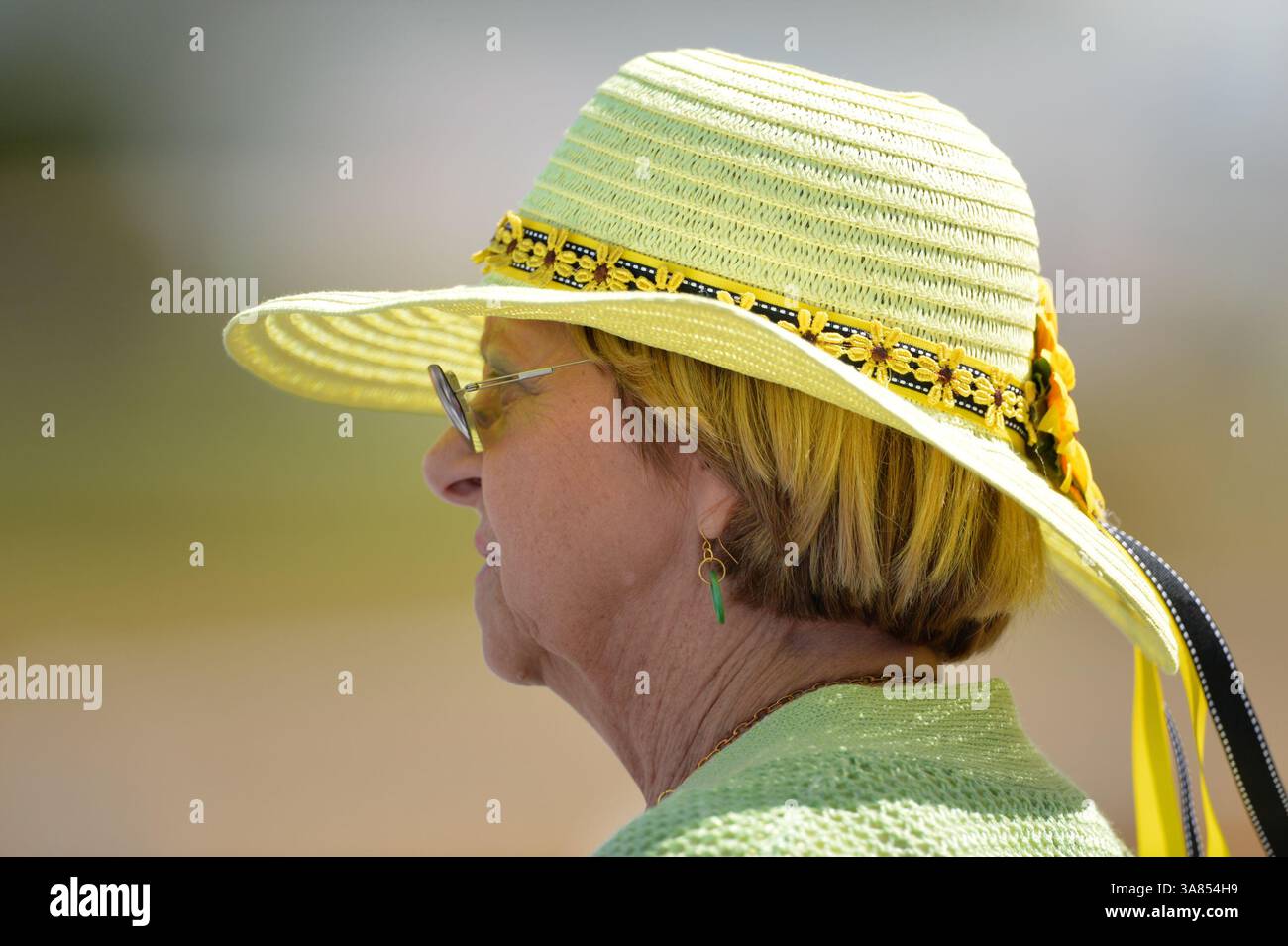 Black eyed susan horse race hi-res stock photography and images - Alamy