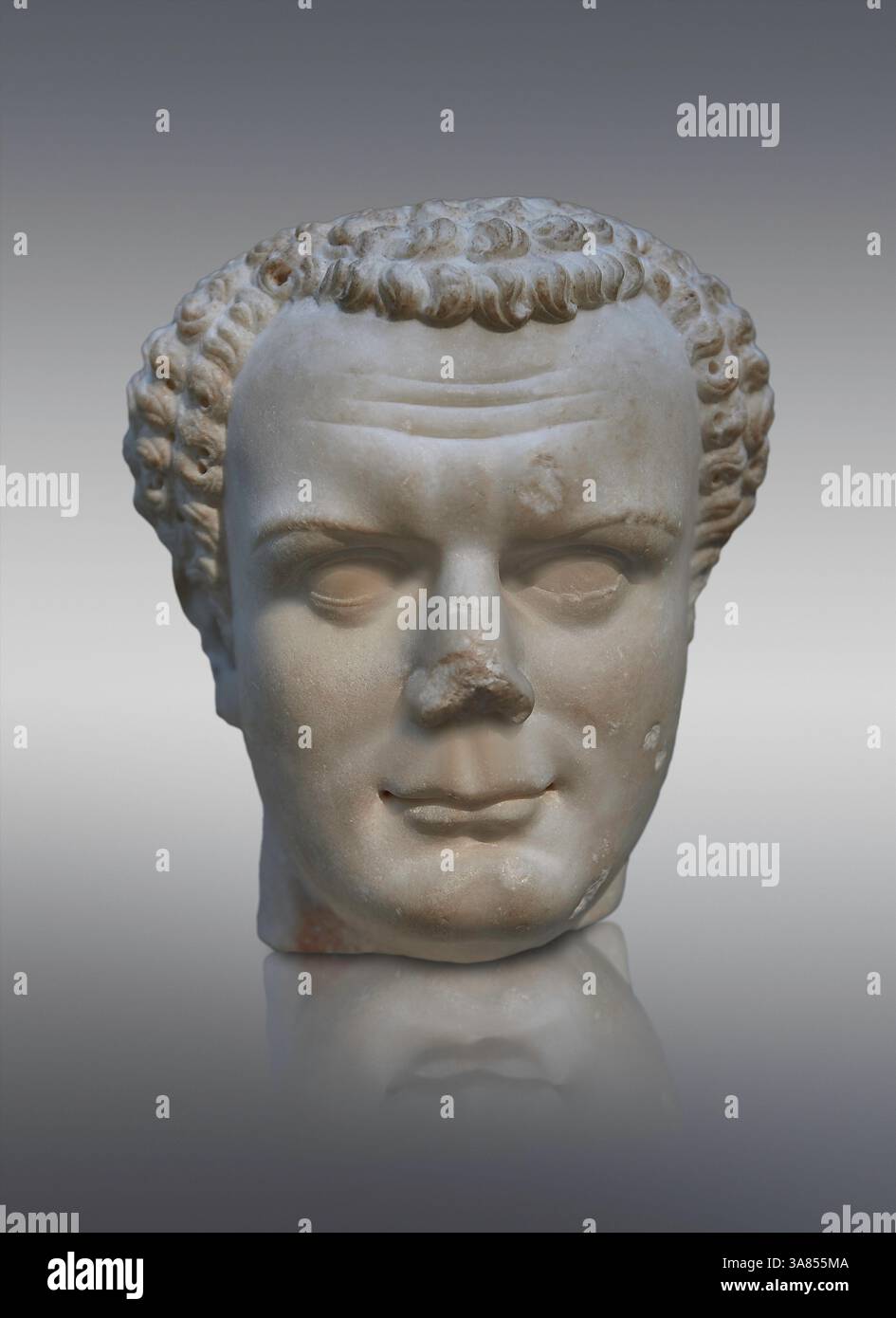 Roman marble bust portrait of emperor Titus from Utica, Tunisia, 70-81 ...