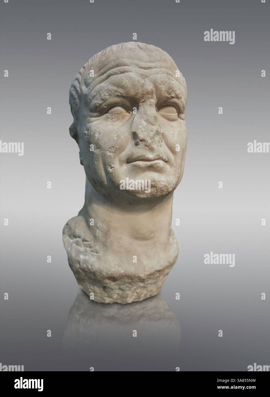 Roman marble statue head of the emperor Vespasian, 69-79 AD, excavated ...