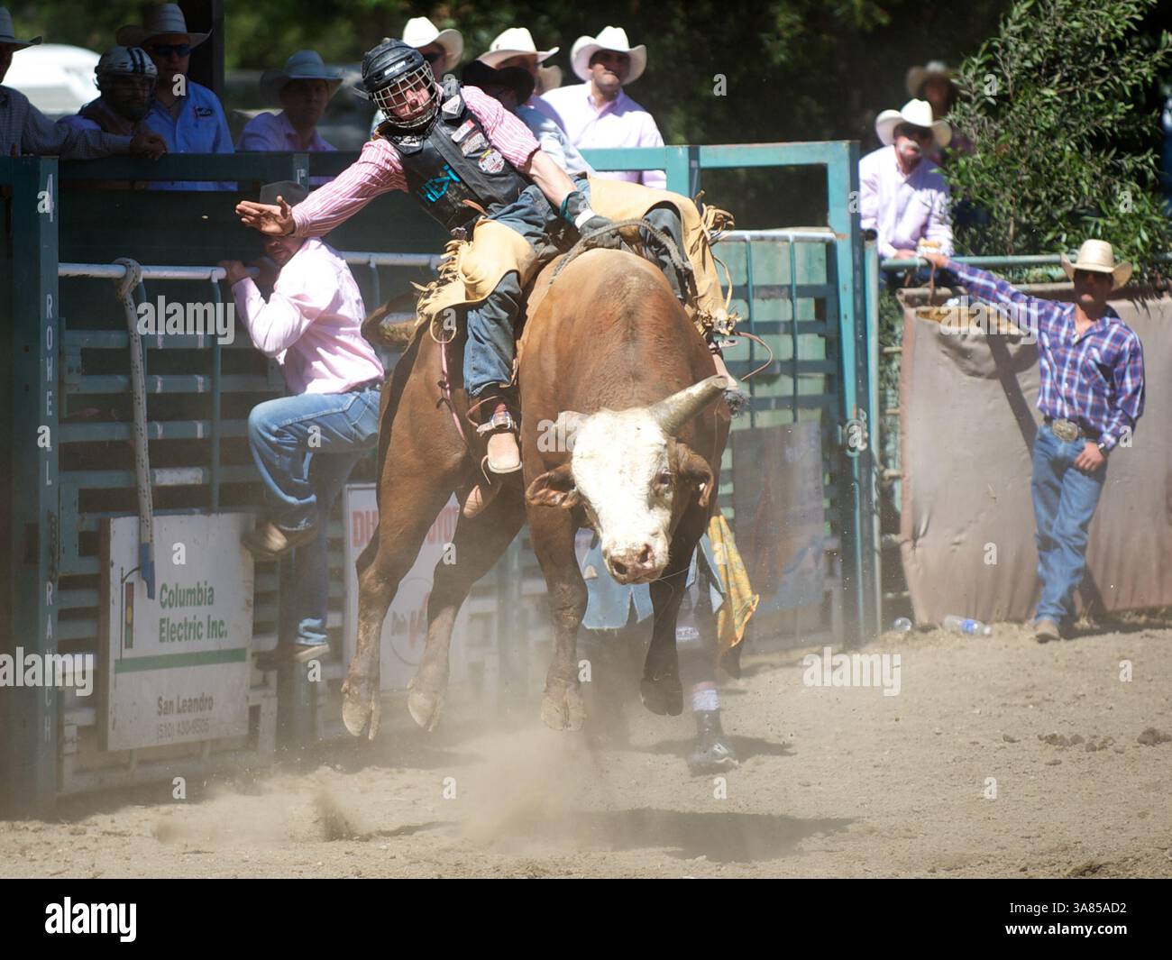 Loco weed hi-res stock photography and images - Alamy