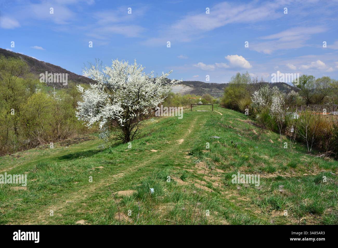 Valley of the târnava mare hi-res stock photography and images - Alamy