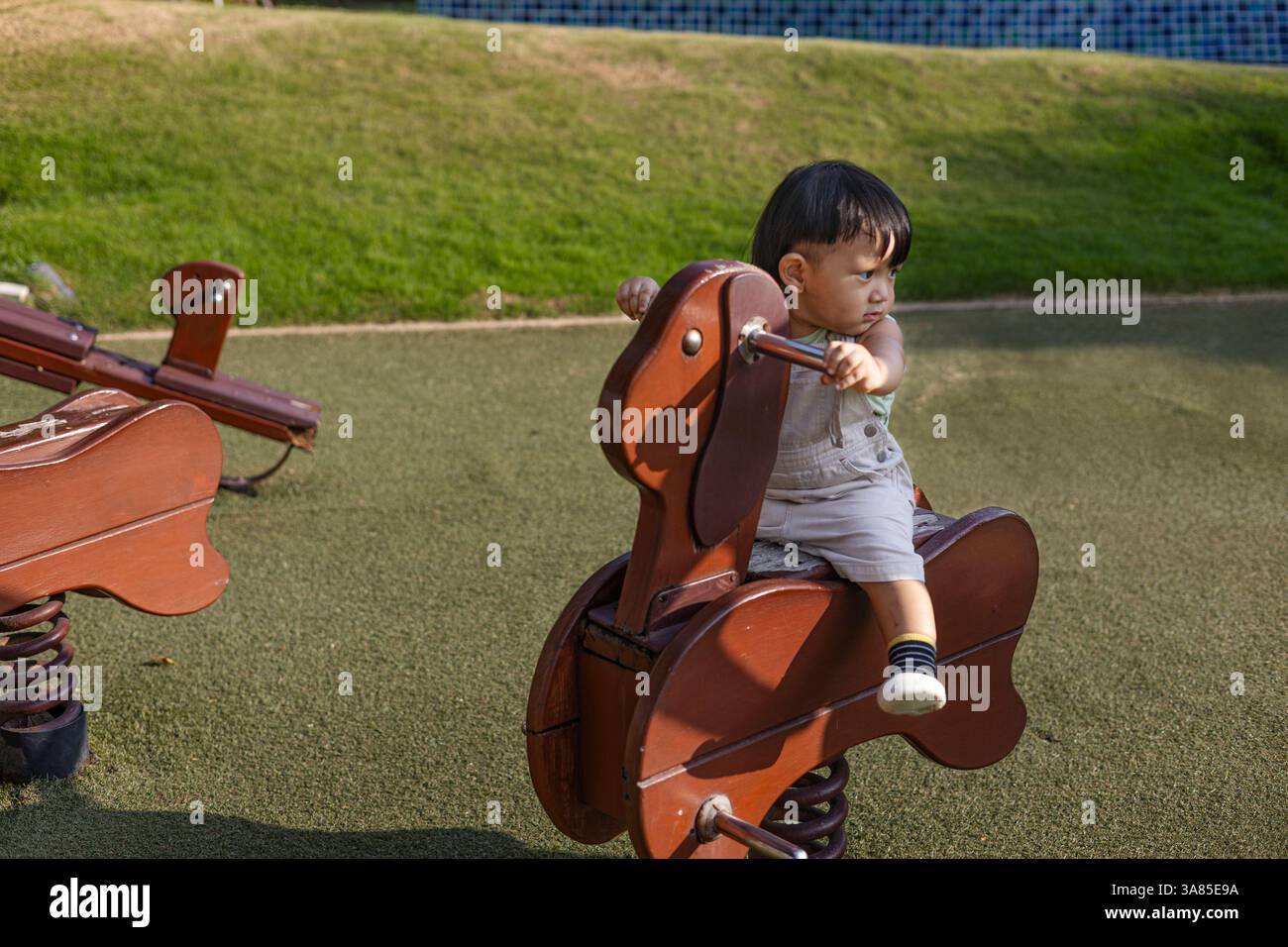A Toddler Sits On A Rocking Horse In The Garden, Background for ...
