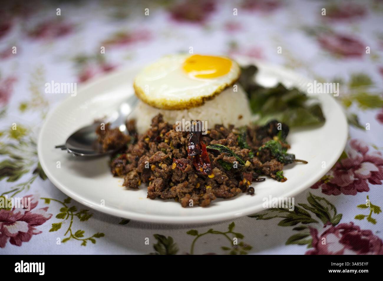 Beef With Holy Basil And Fried Egg On Rice, Background for advertising ...