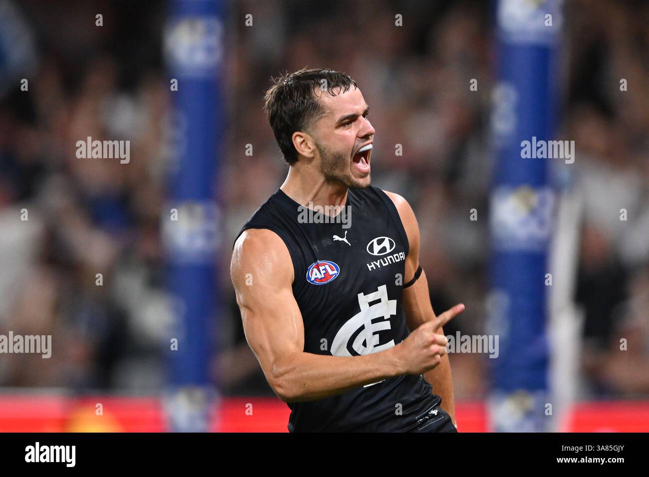 Brodie Kemp of Carlton reacts after kicking a goal during the AFL Round ...