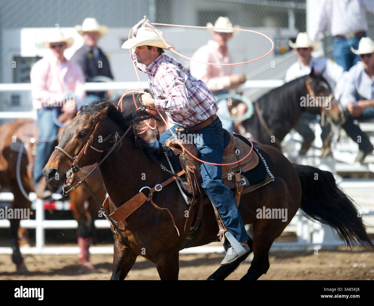 Billings mt hi-res stock photography and images - Alamy