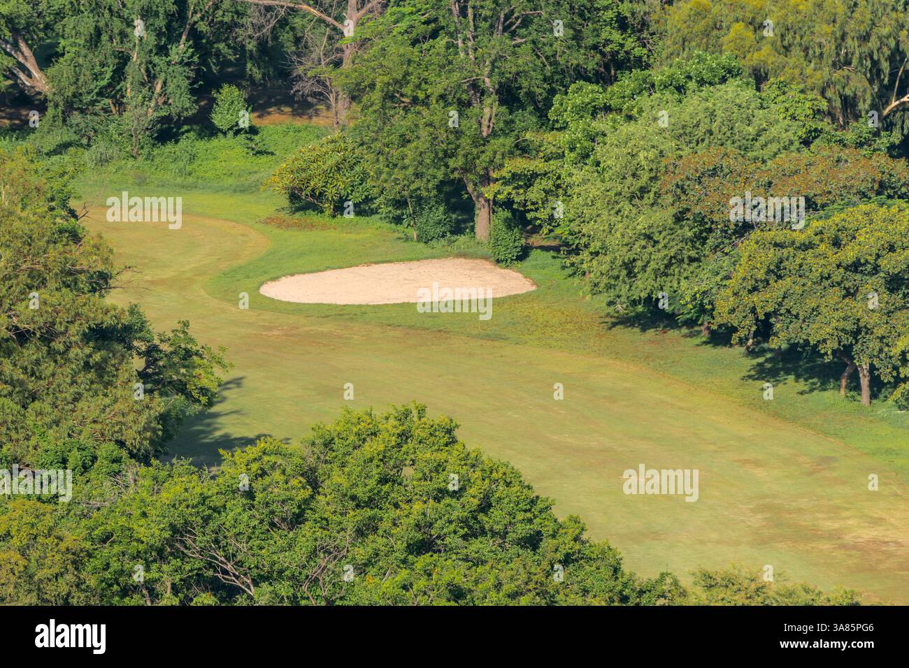 Landscape in aerial view of golf course for golfer with grass green ...
