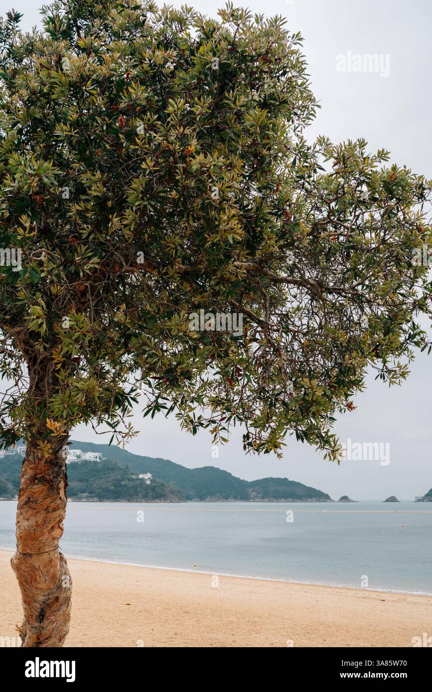 Repulse Bay Beach in Hong Kong Stock Photo - Alamy