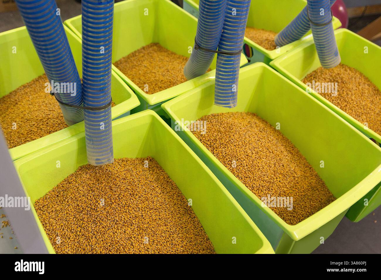 Grain sorting factory close hi-res stock photography and images - Alamy