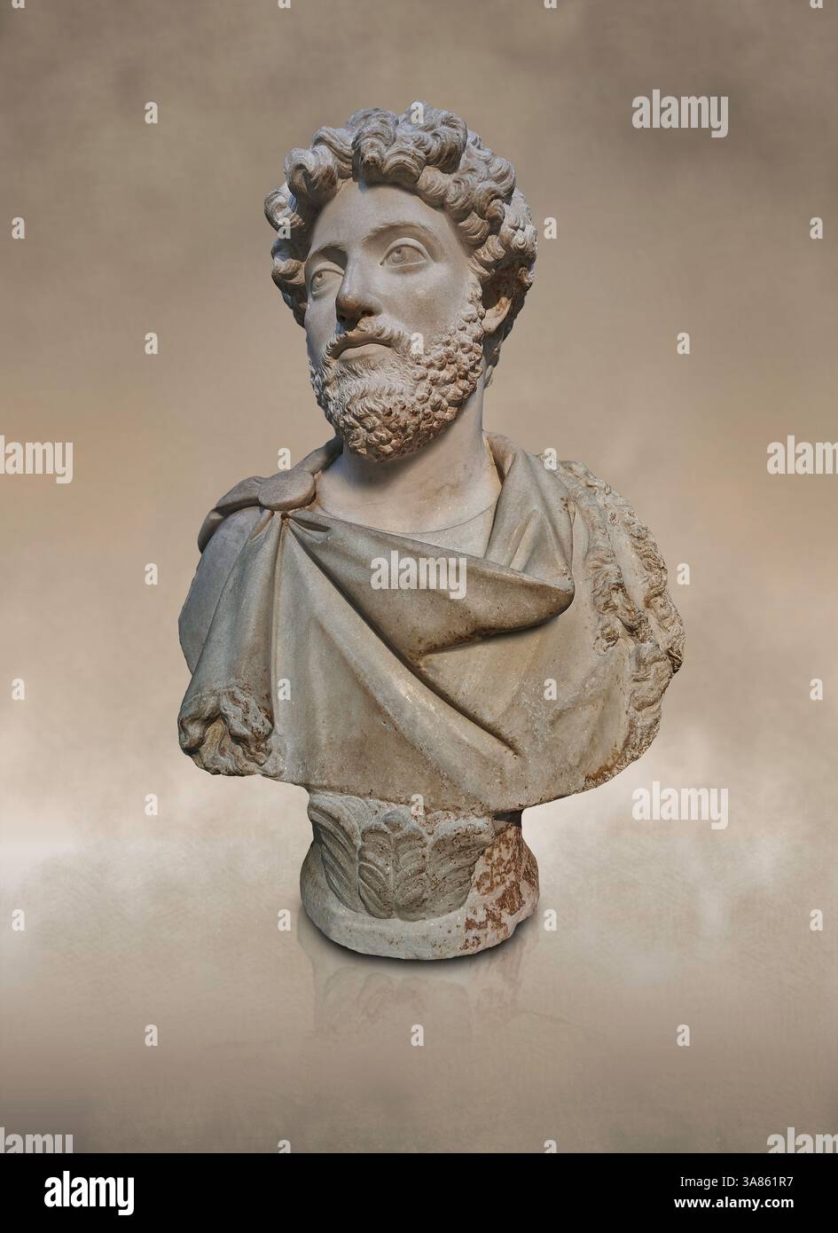 Roman marble bust of the emperor Marcus Aurelius in a fringed cloak ...