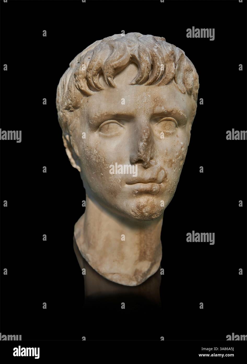 Roman marble statue head of Gaius Caesar, 2BC - 4 AD, from Italy ...