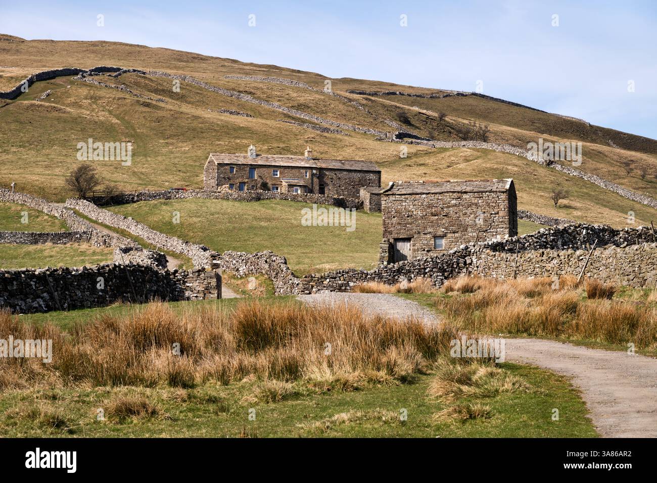 Traditional field barn ('cow house'), Laithe farmhouse and dry stone ...