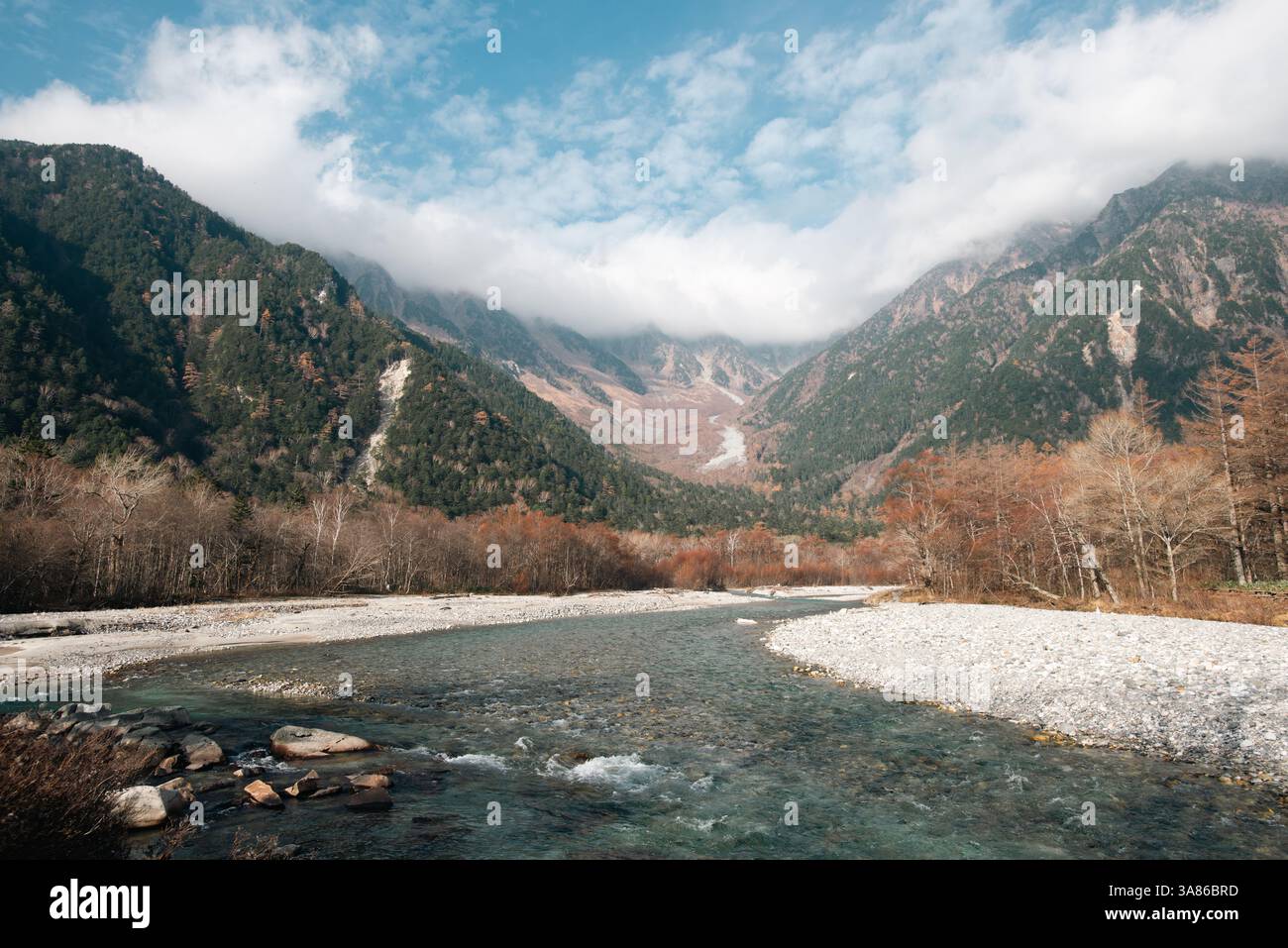 Chubby sangaku national park hi-res stock photography and images - Alamy