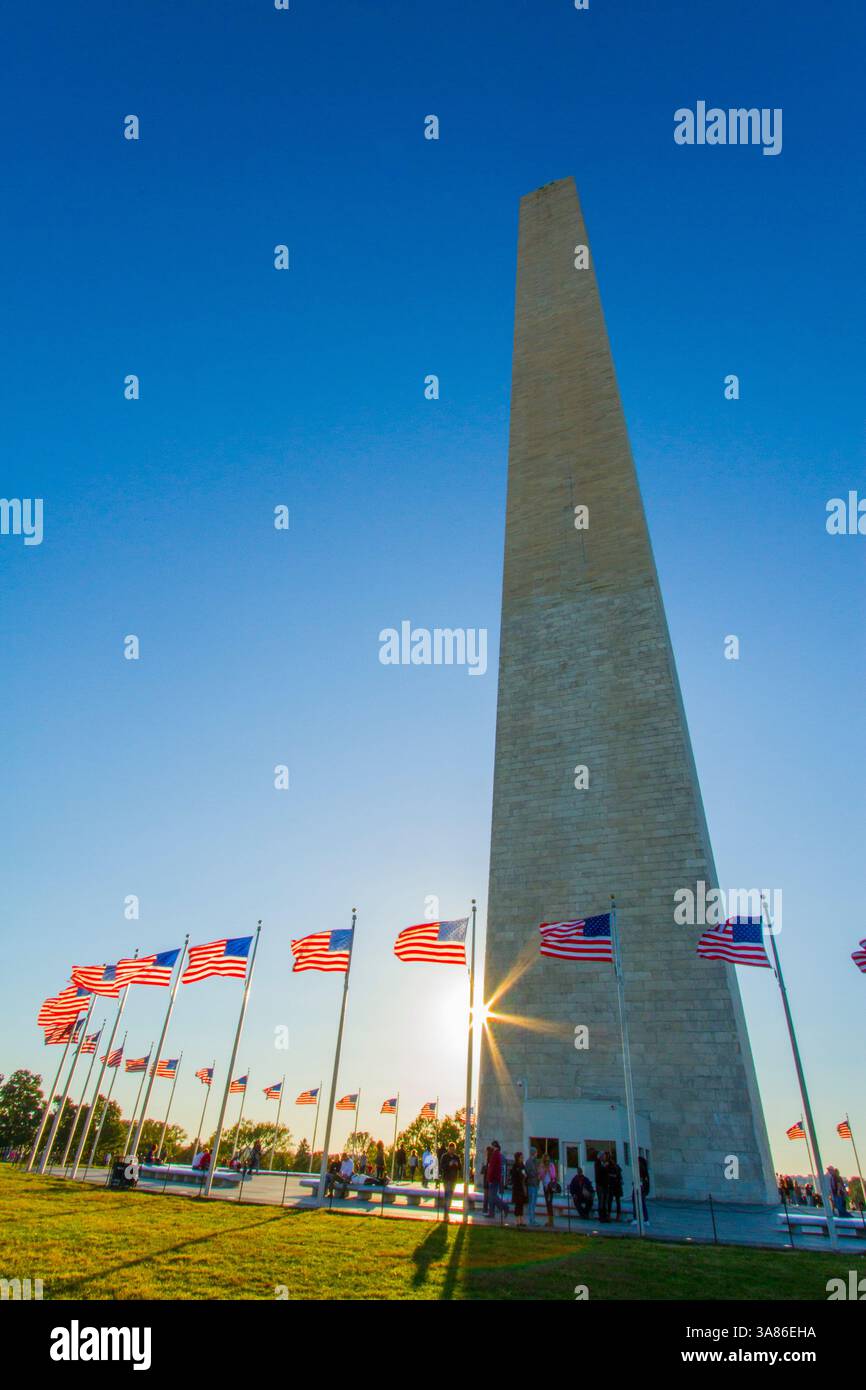 American flags surrounding the Washington Monument in Washington, D.C ...