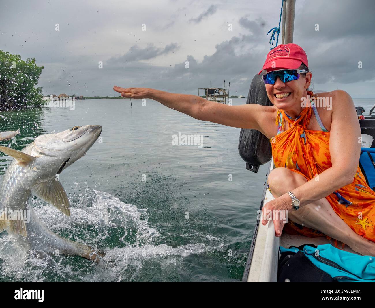 Tourists hand-feeding tarpon (Megalops atlaticus), at feeding station ...