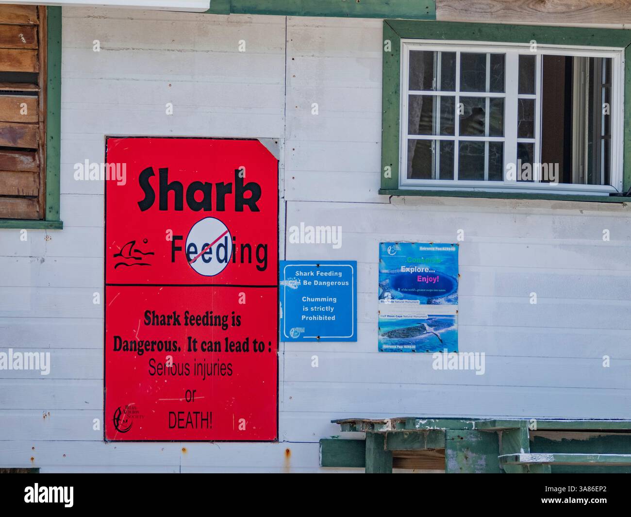 Warning against feeding hi-res stock photography and images - Alamy